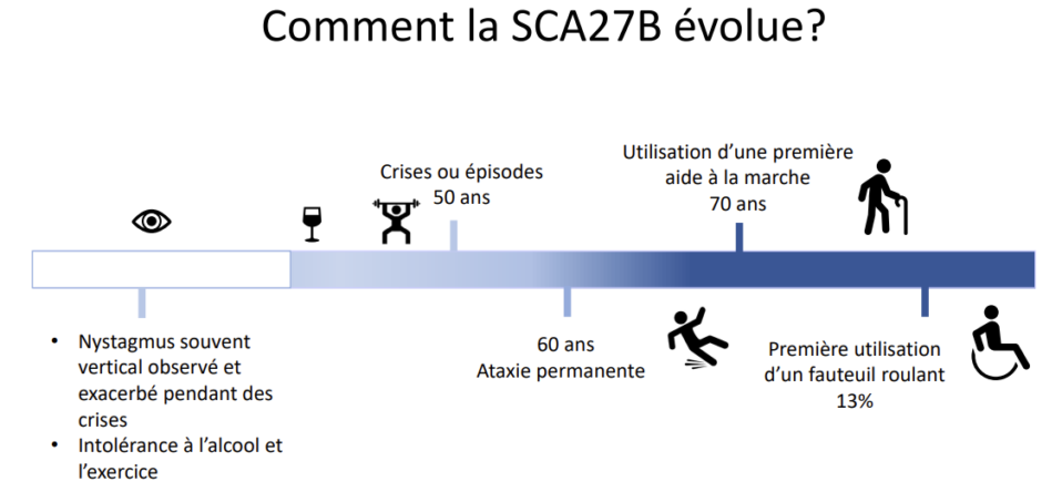 SCA27B | Ataxie Canada